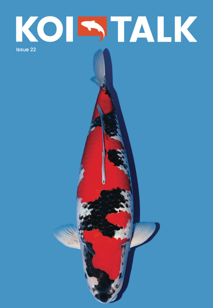 Koi Talk Magazine Issue #22 - Koi Talk Magazine